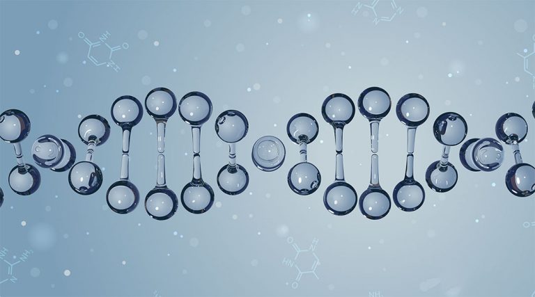 Does Water Have Memory | The Memory of Water | Alive Water