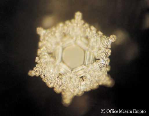 Water Experiment by Dr. Masaru Emoto on Water Consciousness