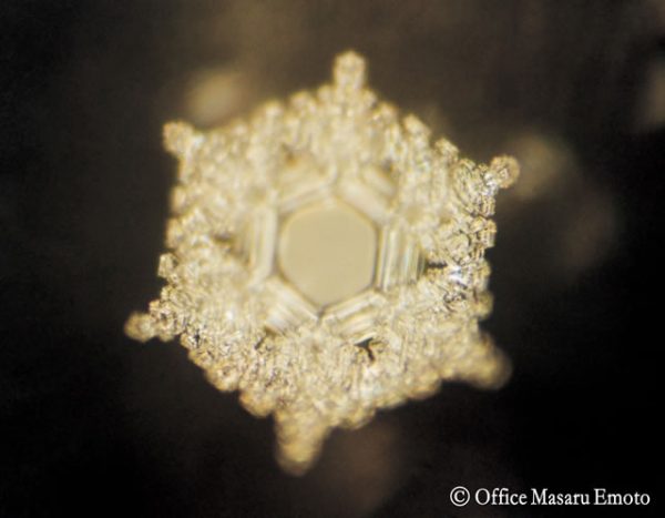 Water Experiment by Dr. Masaru Emoto on Water Consciousness