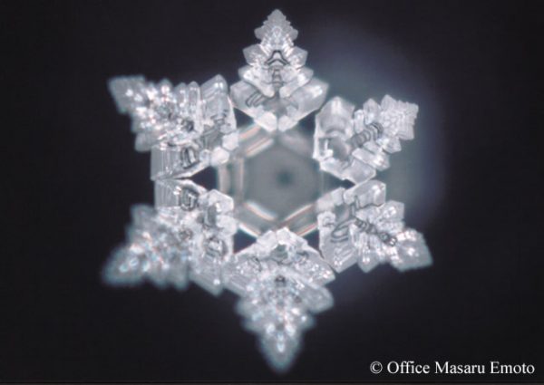Water Experiment by Dr. Masaru Emoto on Water Consciousness