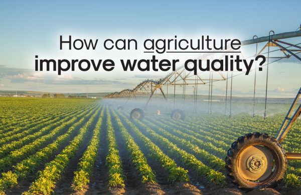 How Can Agriculture Improve Water Quality? | Alive Water Blog