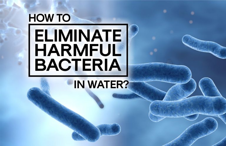 Bacteria in Water? Here's How You Eliminate It | Alive Water Blog